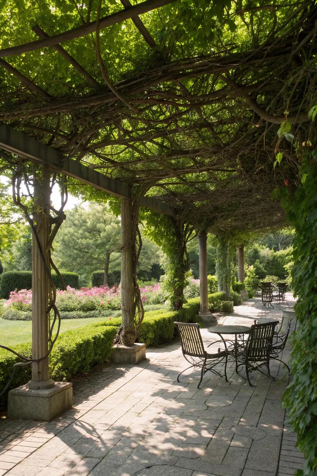 17+ Inspiring Backyard Garden Layout Ideas - Garden.eco