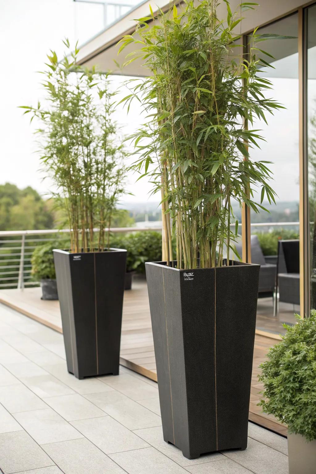 19+ Creative Privacy Fence Ideas with Plants - Garden.eco