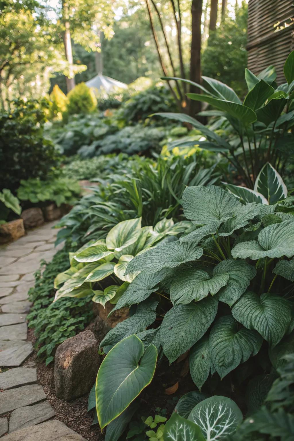 20+ Inspiring Evergreen Garden Ideas - Garden.eco
