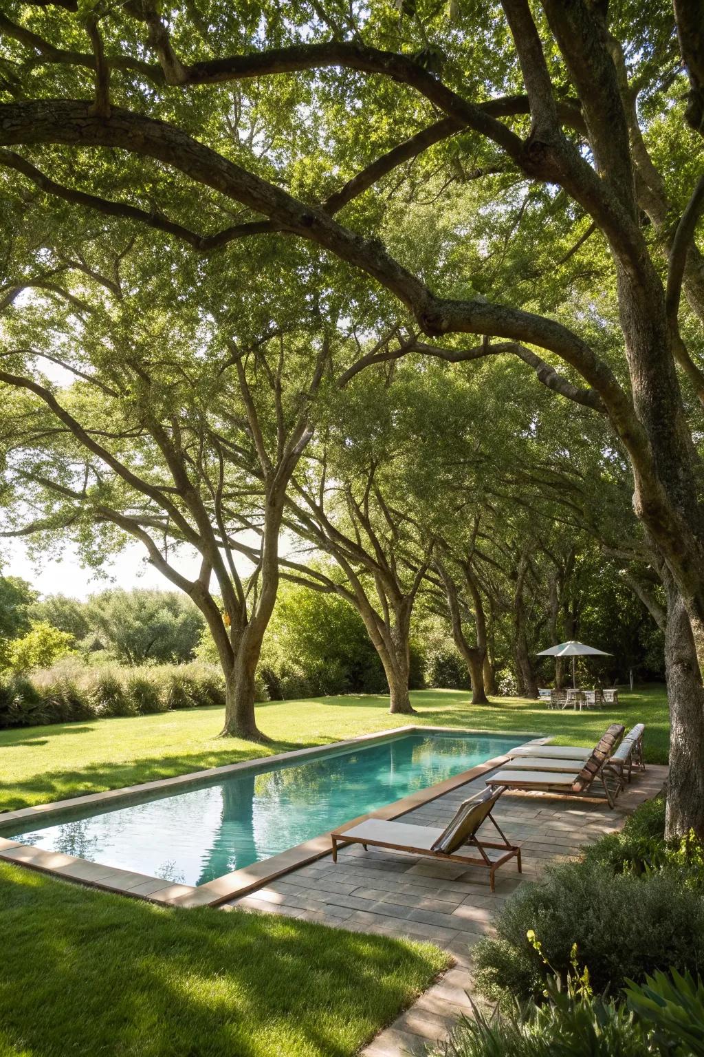 9+ Inspiring Swimming Pool Shade Ideas - Garden.eco