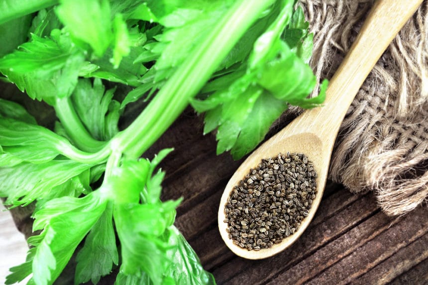 How to Regrow Celery » Don't Toss That Base