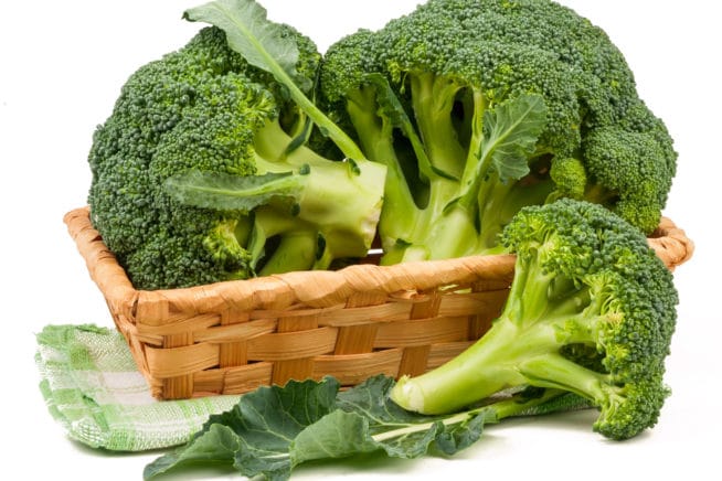 Picking Your Broccoli » Top Harvesting Tips