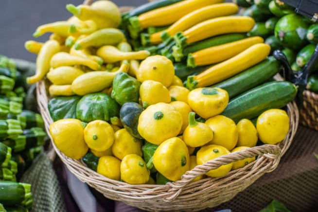 How to Pick Squash » Harvesting Tips for All Types
