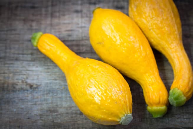 Storing Yellow Squash » Top Tips in Keeping it Tasty