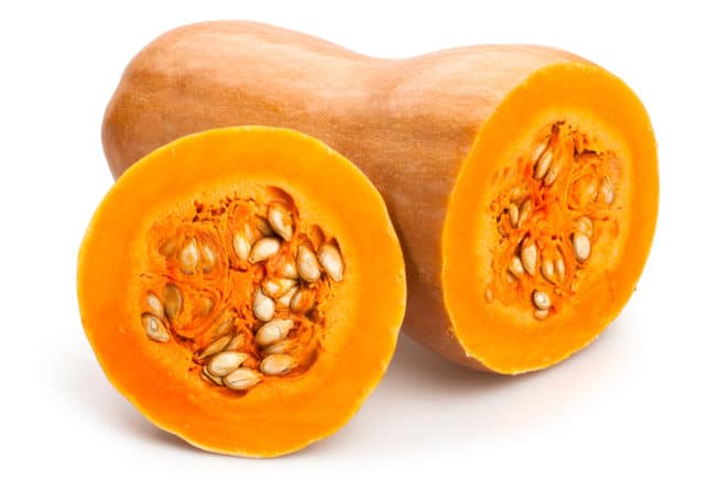 Squash Bugs Top Tips On Declaring War And Winning