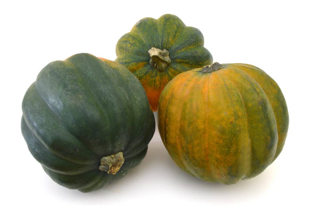 White Squash -- Pale in Color but Bursting with Flavor!
