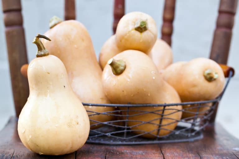 How to Store Spaghetti Squash » Keeping it Fresh & Tasty