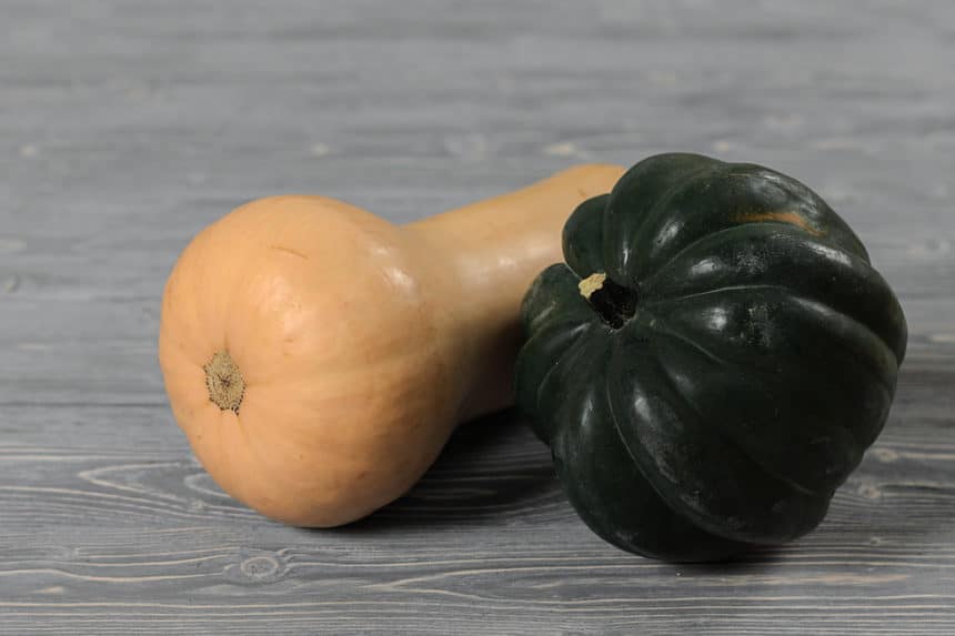 Squash Storage Made Simple - Garden.eco