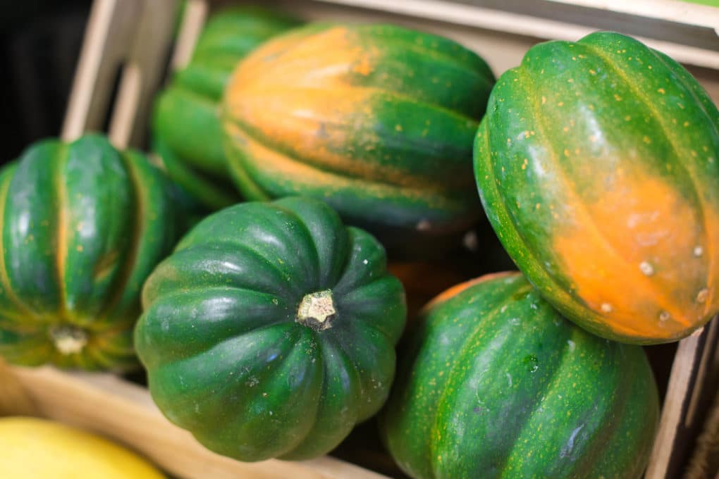Proper Storage of Acorn Squash - Garden.eco