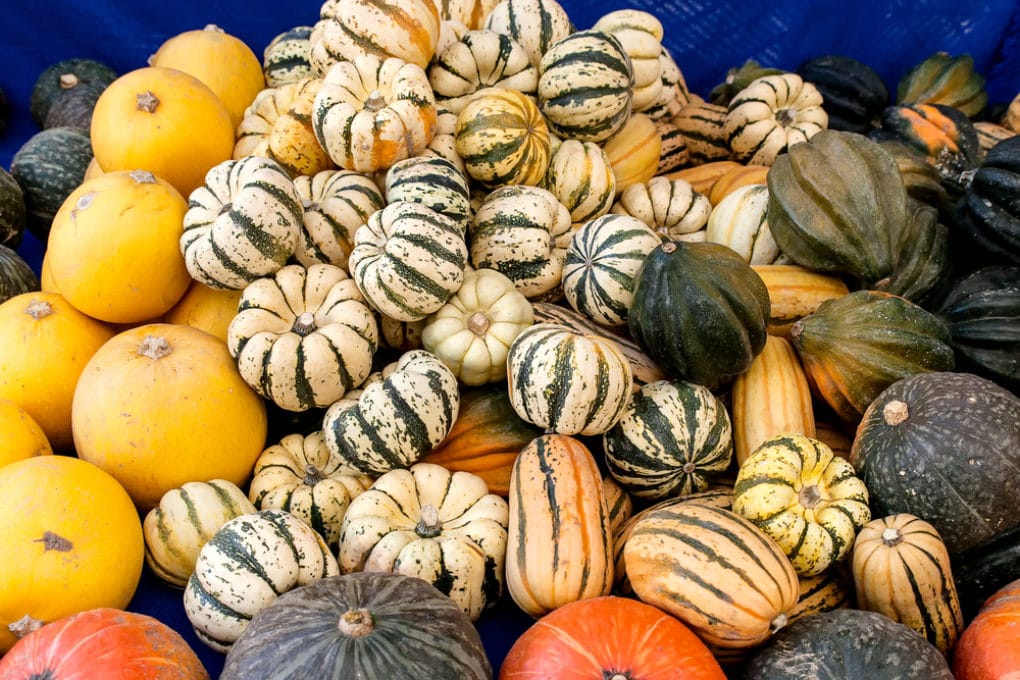 White Squash -- Pale in Color but Bursting with Flavor!