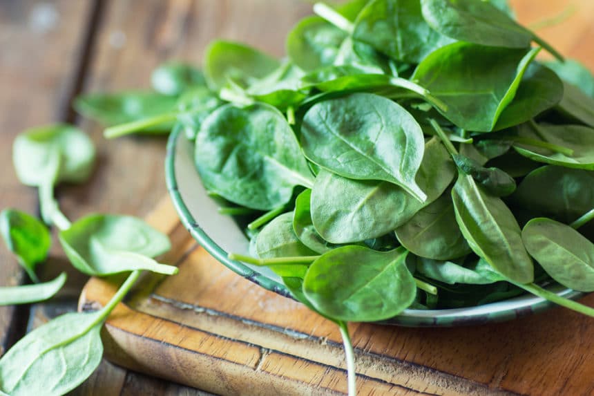 Spinach Plant Spacing » Top Tips for Best Growth