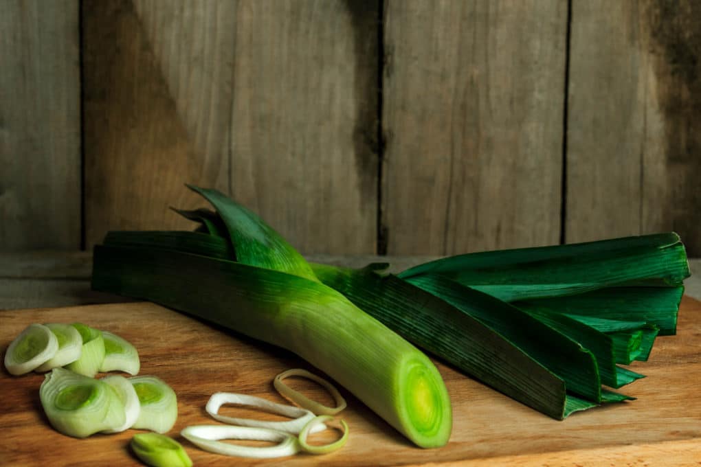 Leek Flower » All About the Bloom