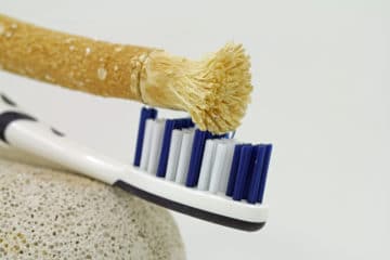 Mustard Tree Size » Top Tips on How Big it Grows