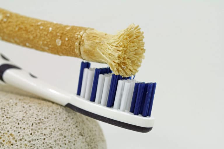 Mustard Tree Size » Top Tips on How Big it Grows