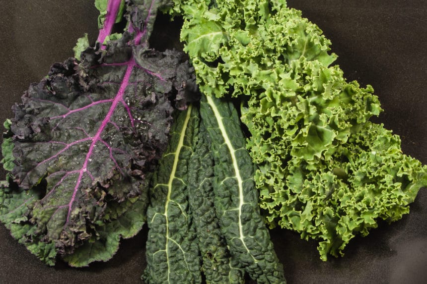 Kale Varieties » Wow! Too Many to Choose