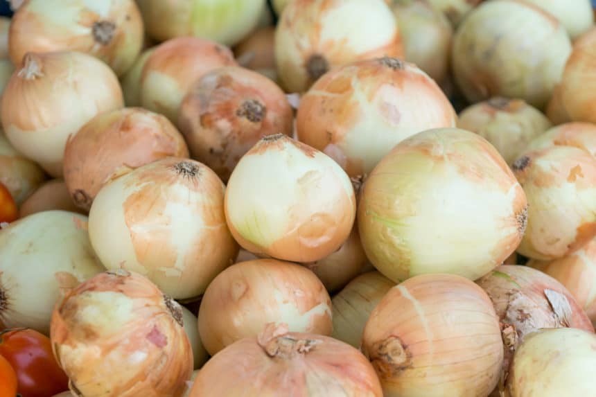 Where Do Onions Grow? » Top Facts & Tips
