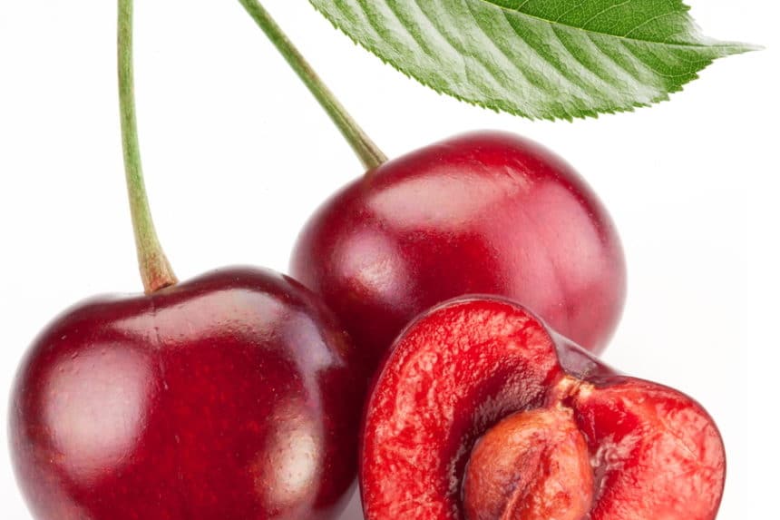 Where Do Cherry Trees Grow » Top Location Tips