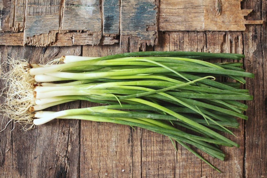 Multiplier Onions » Top Tips on Green Onions or Scallions