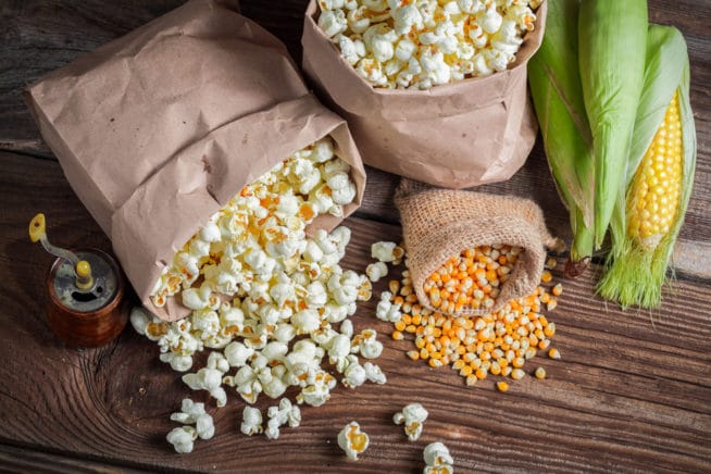 Where Do Popcorn Seeds Come From? - Garden.eco