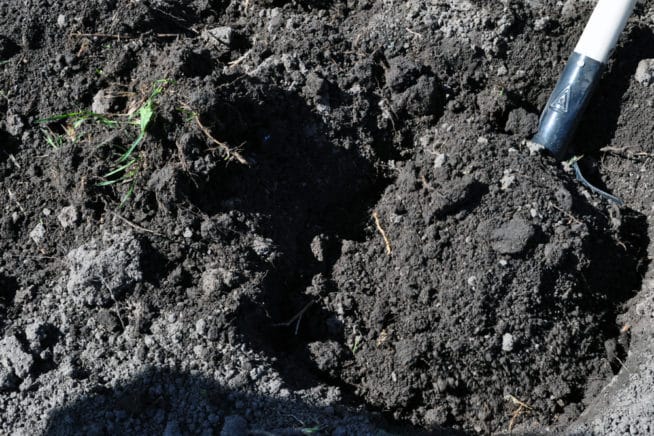 Best Soil for Potatoes » Top Tips