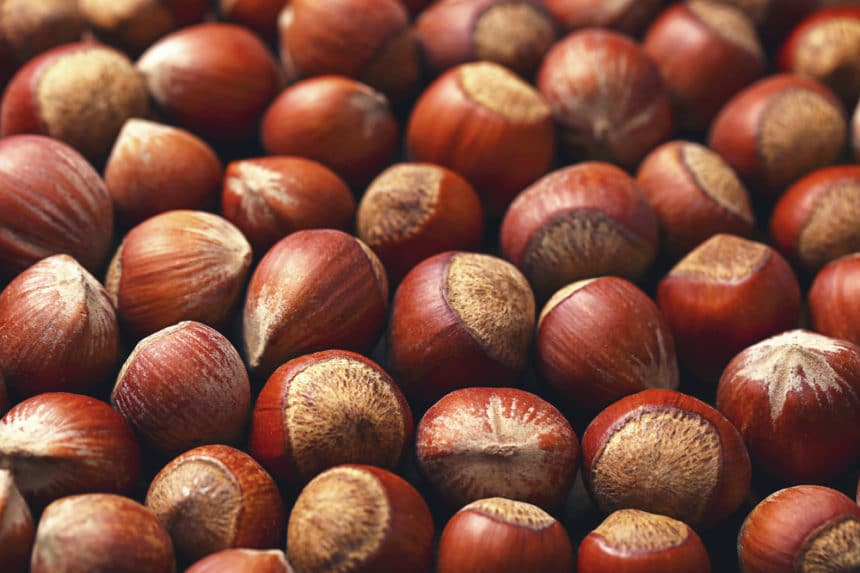Do Hazelnuts Grow on Trees or Bushes? - Garden.eco