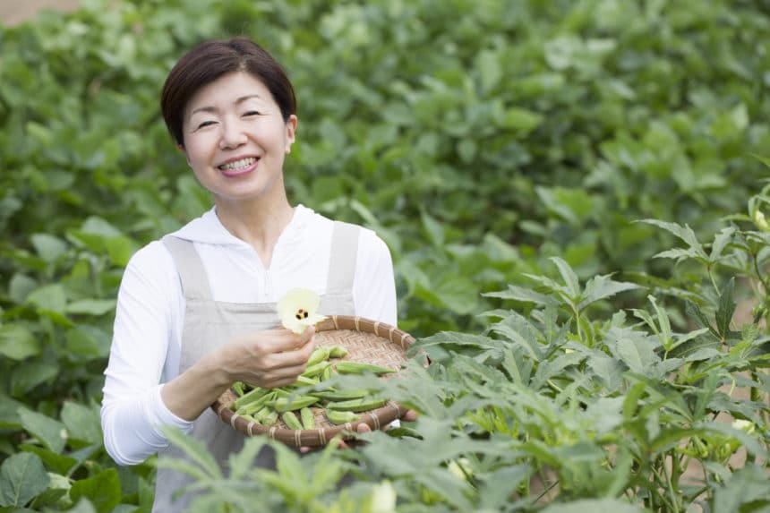 Okra Spacing » Tips on Giving it Elbow Room
