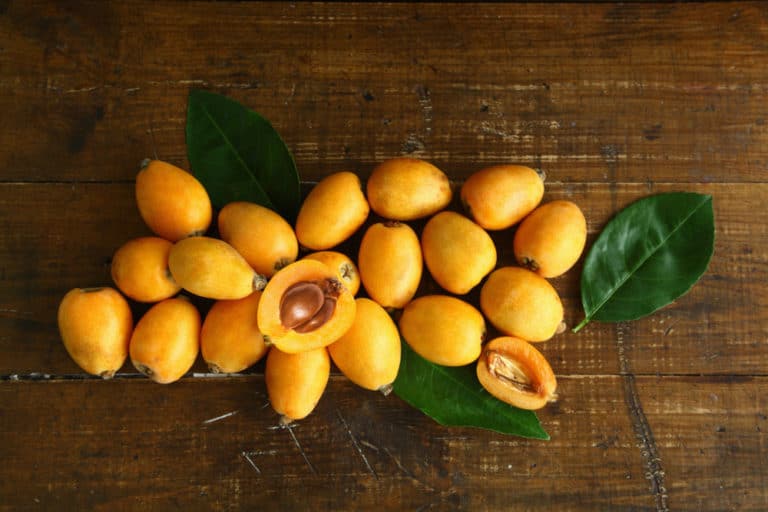 Loquat Fruit & Everything You Need to Know