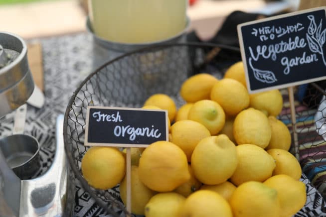 Lemon Archives - Garden.eco
