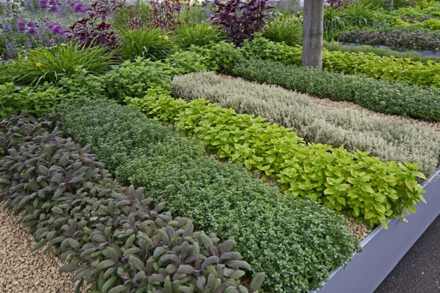 14+ Stunning Herb Garden Layout Ideas