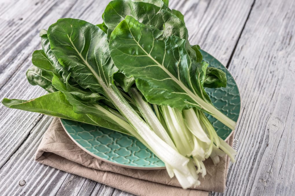 When to Plant Swiss Chard