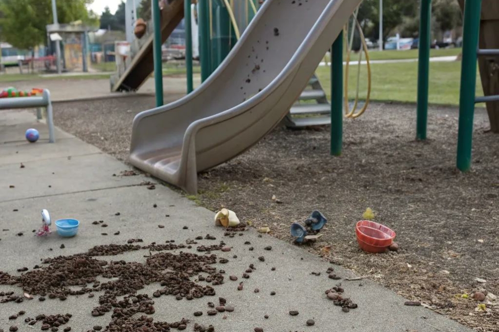 17+ Creative Playground Ideas for Small Backyards