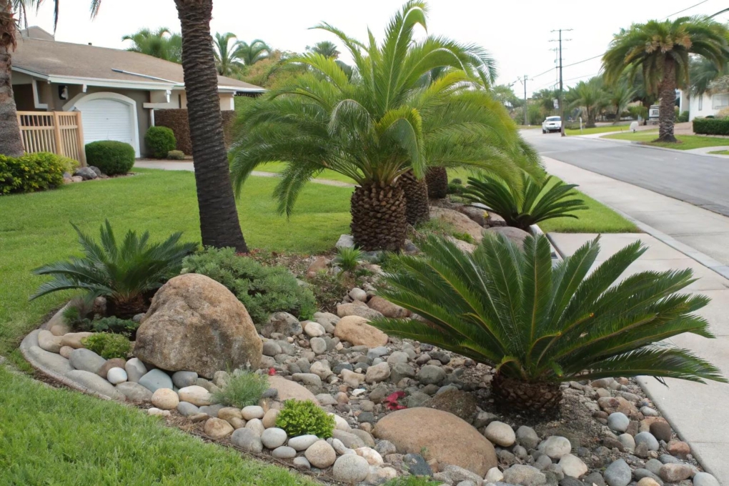 19+ Inspiring Palm Trees Landscape Ideas