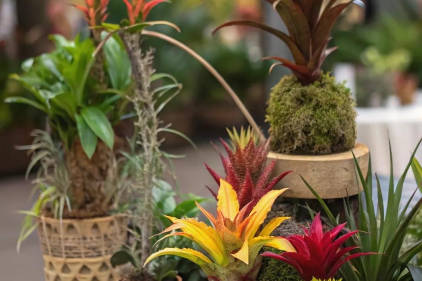 14+ Inspiring Plant Nursery Design Ideas