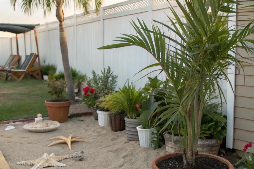 15+ Fun Backyard Beach Party Ideas