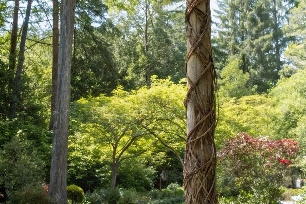 13+ Creative Outdoor Pole Decorating Ideas